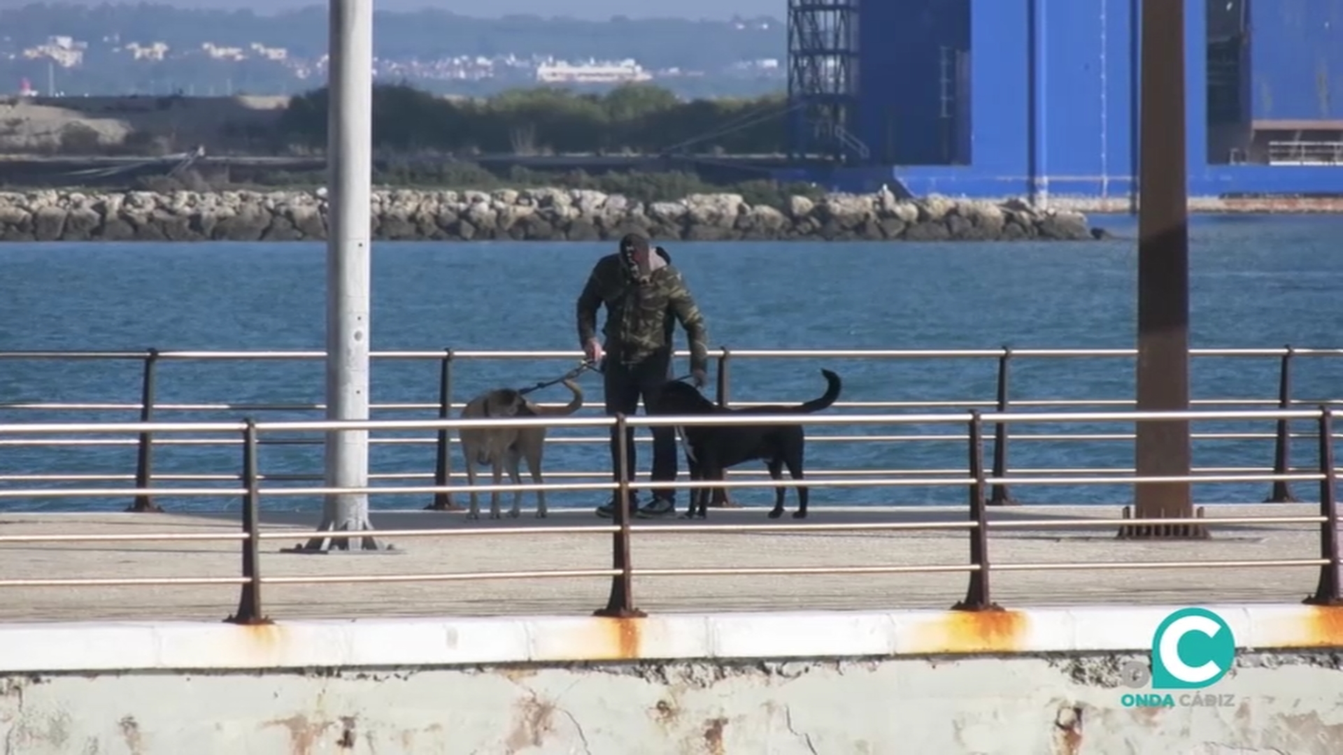 De la Cruz apuesta por el proyecto de la playa para perros | Onda Cádiz RTV