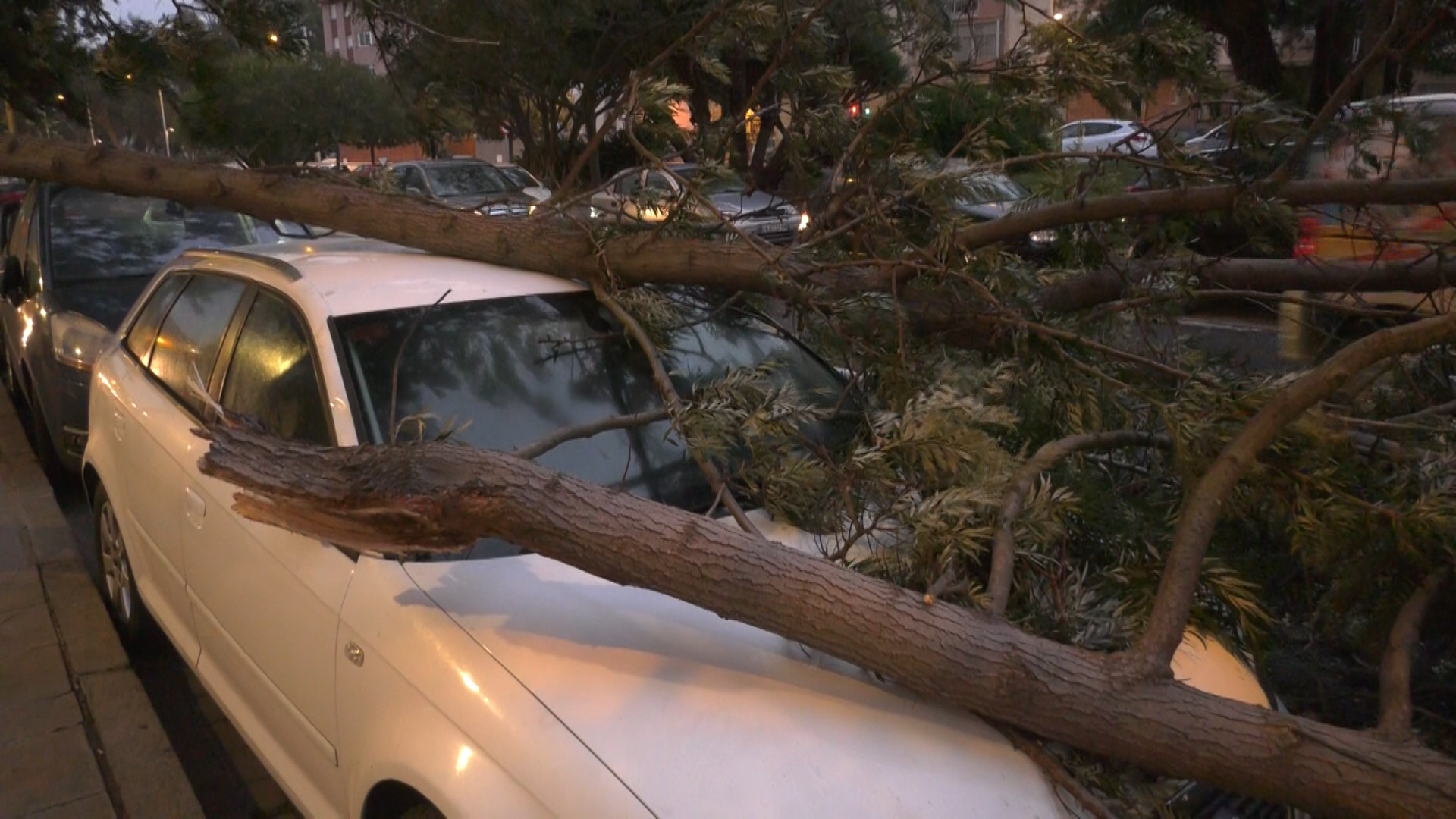 El temporal Bernard deja casi 120 incidencias a su paso por Cádiz ...